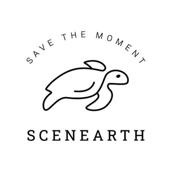 SCENEARTH – LMCHING Group Limited