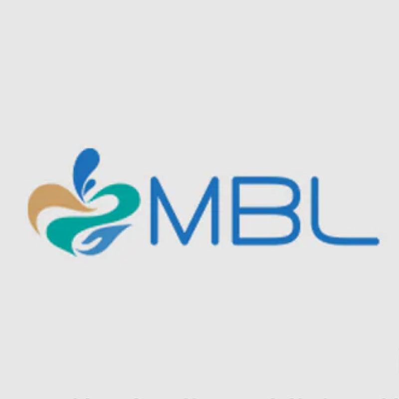 MBL – LMCHING Group Limited