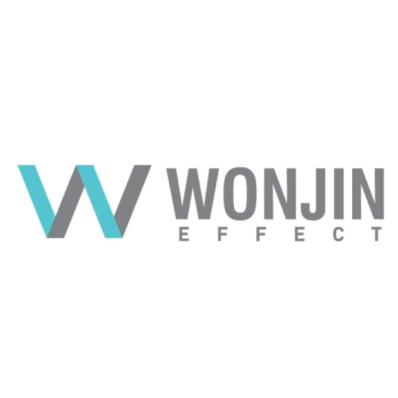 WONJIN EFFECT – LMCHING Group Limited